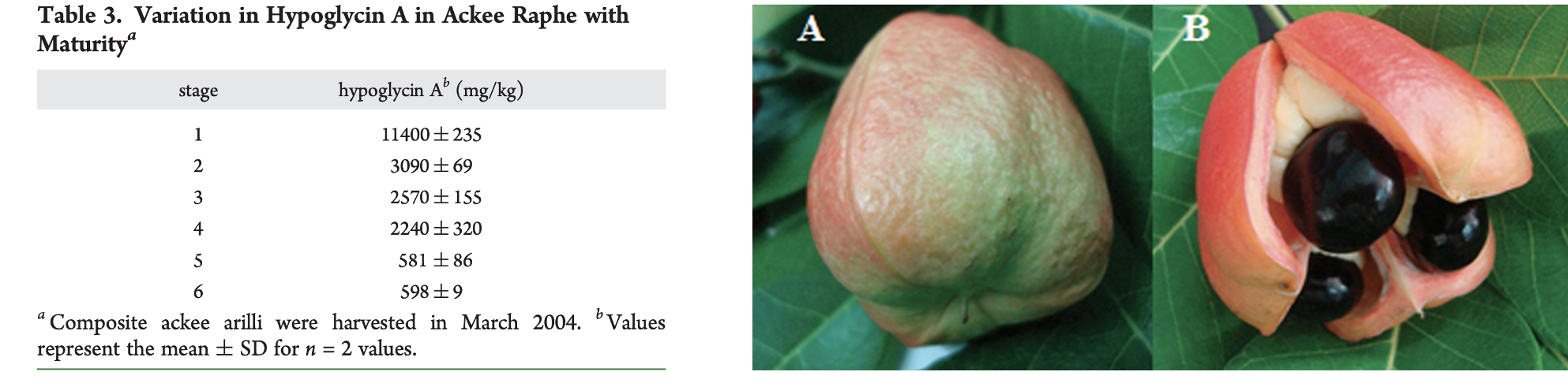 'Adam and Heave' - Is Akee the Real Forbidden Fruit? | American Council on Science and Health
